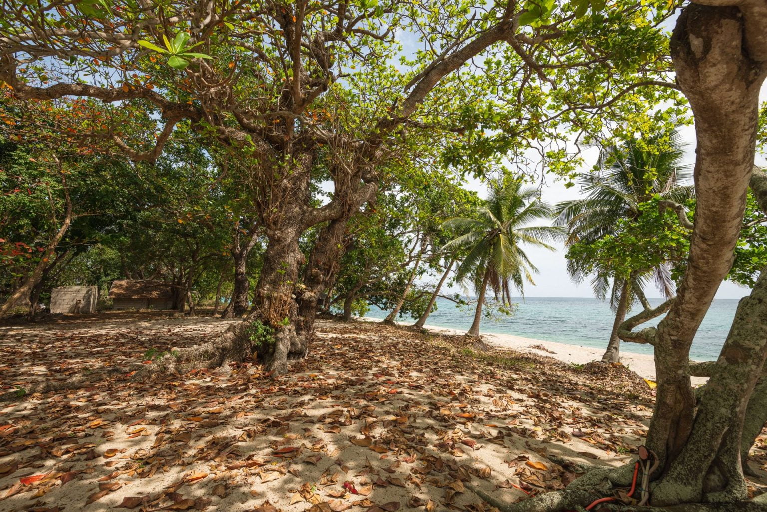 Gallery – Virgin Beach Resort